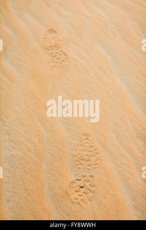 UAE, Rub' al Khali, shoe prints in the desert sand Stock Photo - Alamy