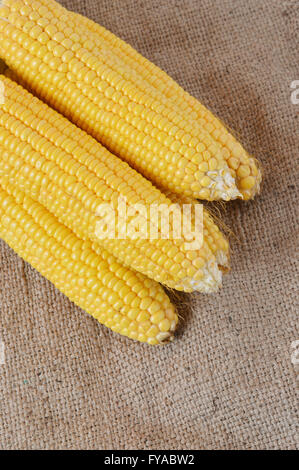 corn pieces on the brown sackcloth Stock Photo - Alamy