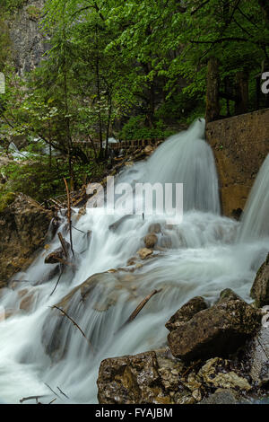 Pollat River Waterfall - Neuschwanstein Castle - Germany Stock Photo ...