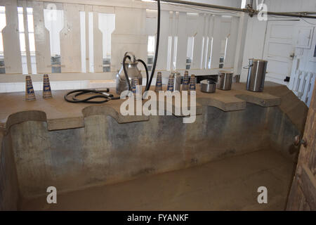 Connemara Farms and Goat Dairy where Lillian Sandburg raised her prize ...