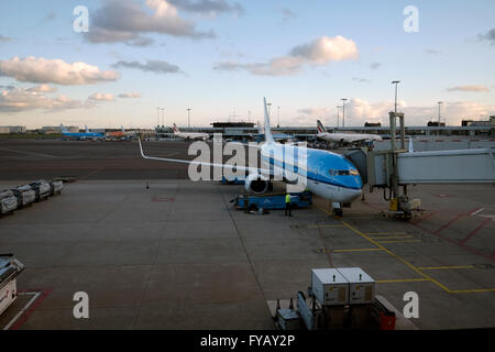 A passenger aircraft of the airline KLM stands out against the blue sky ...
