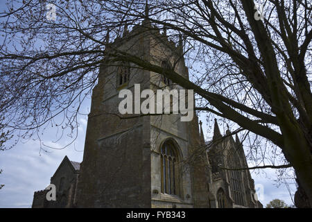 Terrington St. Clement church, Norfolk England UK English medieval ...