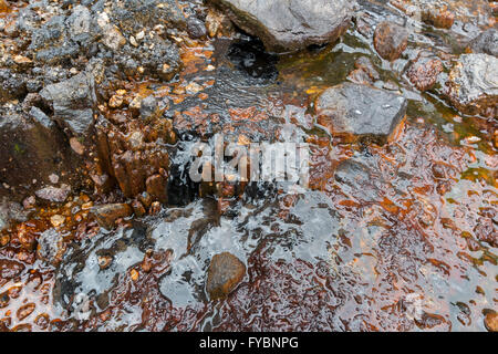 Bitumen seeping out of oil bearing rocks in an old quarry in Napo ...