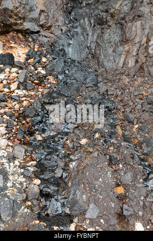 Crude oil seeping out of a rock face in an old quarry in Napo Province ...
