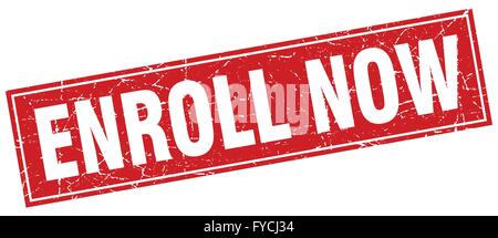 enroll now red square grunge stamp on white Stock Vector Image & Art ...