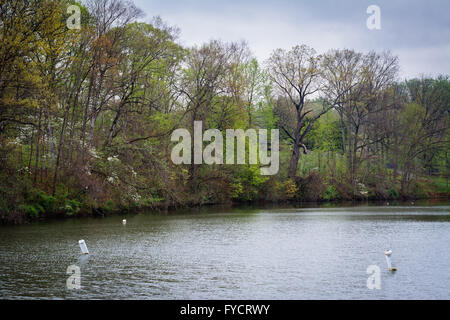 Lake in the spring park Stock Photo - Alamy