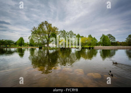 The lake at Patterson Park, in Baltimore, Maryland Stock Photo - Alamy