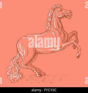 Horse sketch drawing prancing Stock Photo - Alamy