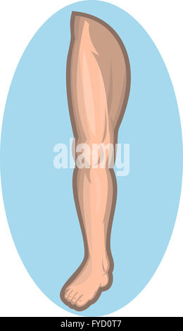 Human leg facing front Stock Photo - Alamy