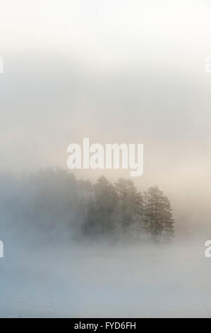 Misty fog over the lake Stock Photo - Alamy