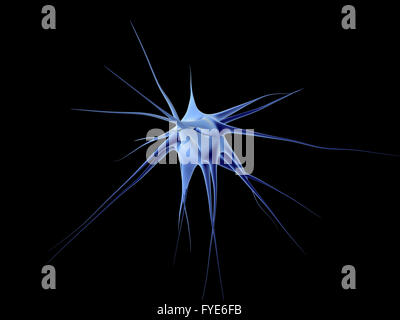 A neuronal cell cluster Stock Photo - Alamy