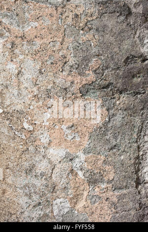 The old wall covered with plaster crashed Stock Photo - Alamy