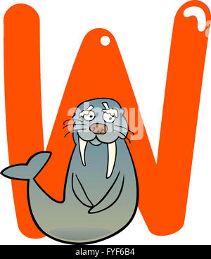 cartoon illustration of W letter for walrus Stock Photo - Alamy