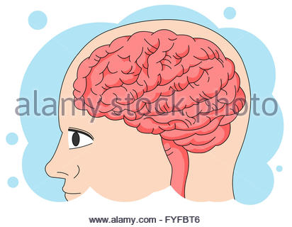 human brain cartoon Stock Vector Art & Illustration, Vector Image ...