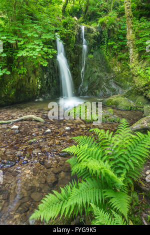 Coastal path at Newport, in the Pembrokeshire national park Stock Photo ...