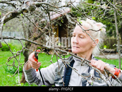 gardener cuts a bush with scissors in the garden. man cuts a branch in ...