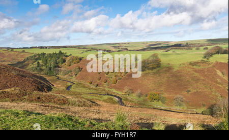 Cornham Brake near Simonsbath, Exmoor National Park, Somerset, England ...