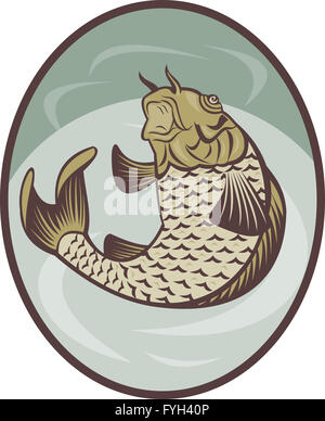 Koi carp jumping up Stock Photo - Alamy