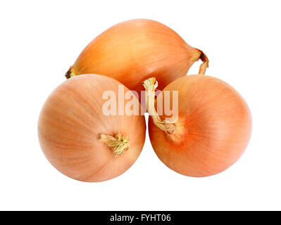 Golden onions isolated on white. Studio Photo Stock Photo - Alamy