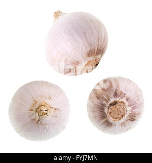 Fresh Single Clove Garlic, also known as pearl garlic or solo garlic ...