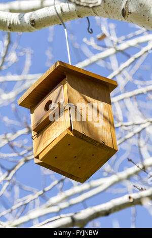 Closeup of pink wooden birdhouse. White beige lace heart shaped dream ...
