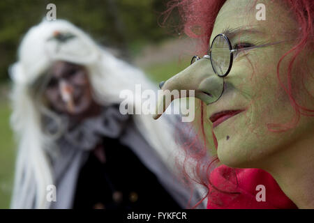 Wolfshagen, Germany. 24th Apr, 2016. Women dressed as witches ...