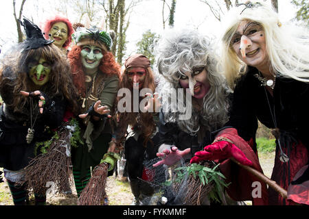 Wolfshagen, Germany. 24th Apr, 2016. Women dressed as witches ...