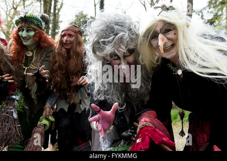 Wolfshagen, Germany. 24th Apr, 2016. Women dressed as witches ...