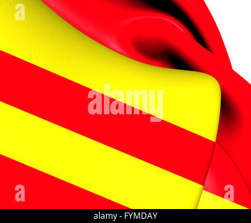 Flag of Aust-Agder, Norway. Close Up Stock Photo - Alamy