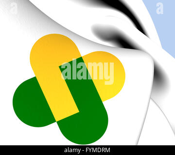 Flag of Champagne-Ardenne Stock Photo - Alamy