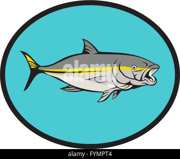 Kingfish New Zealand Fish Cartoon Retro Drawing Stock Photo - Alamy
