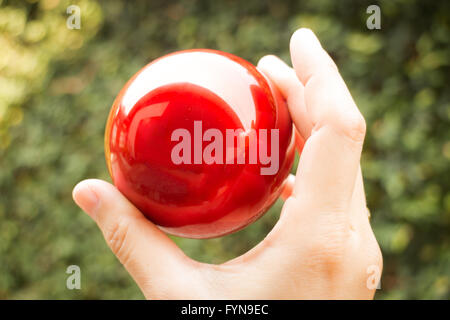 Shiny red ball on hand Stock Photo - Alamy