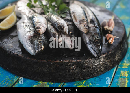 Raw fish. Sea bream, sea bass, mackerel and sardines Stock Photo - Alamy