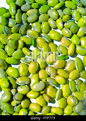 Hyacinth Bean - Dolichos lablab L. on green leaves Stock Photo - Alamy