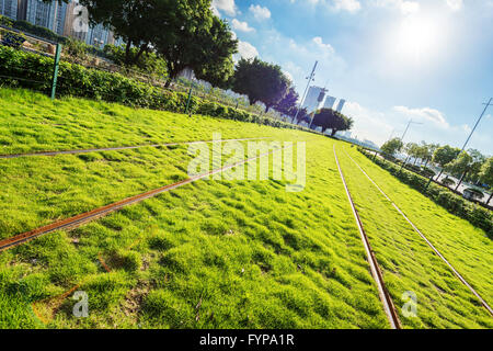 railways along with trees and greenland Stock Photo - Alamy