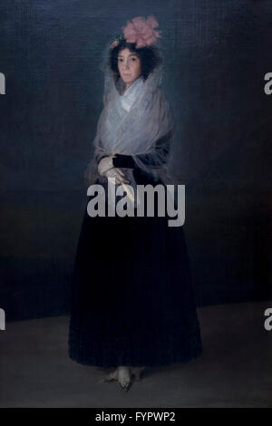 Francisco de Goya y Lucientes - Louvre museum Paris Stock Photo - Alamy