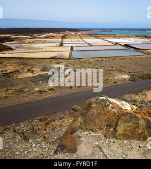 salt in lanzarote spain musk pond rock stone sky water coastline and ...