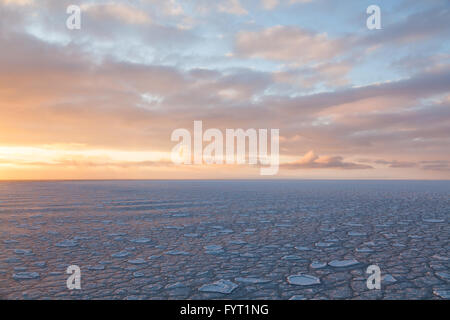 Pancake ice in the open sea in the Arctic Stock Photo - Alamy