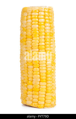 Single fresh ear of sweet yellow corn, partially shucked, revealing ...
