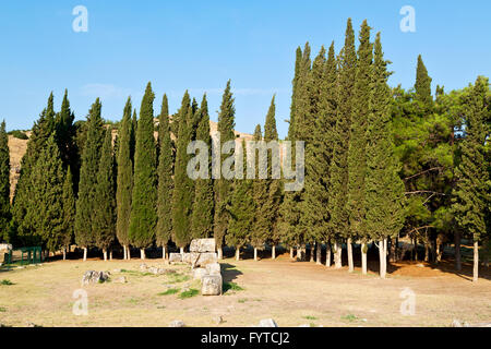 Bush gate the asia roman temple Stock Photo - Alamy