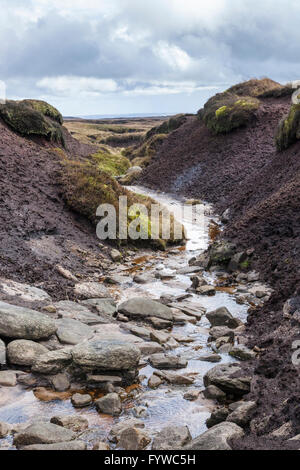 Moorland gully and peat hag formed by erosion of the moor by a stream ...