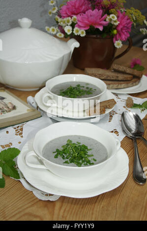 Cooking shaggy ink cap soup Stock Photo - Alamy