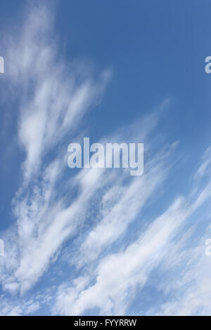 Long cirrus clouds skyscape Stock Photo - Alamy