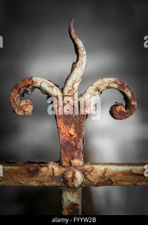 Rusty metal railings with old peeling white paint, England, UK Stock ...