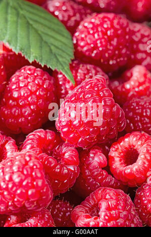 Heap of sweet red raspberries close up Stock Photo - Alamy