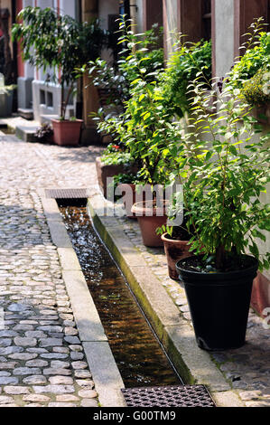 Old Town with Freiburg Baechle canal, Freiburg im Breisgau, Baden ...