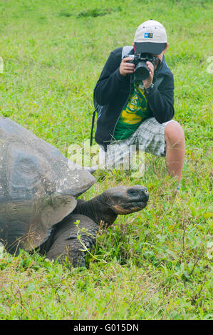 Boy and a Tortoise Stock Photo - Alamy