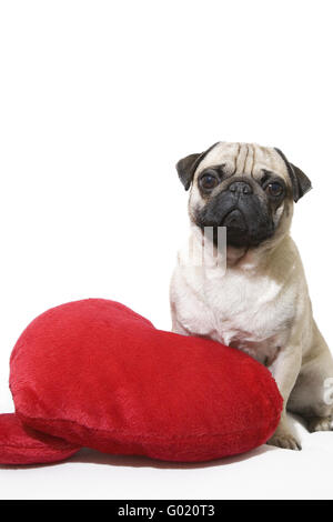 humor & bizarre, heart, humor and bizarre, hearts Stock Photo - Alamy