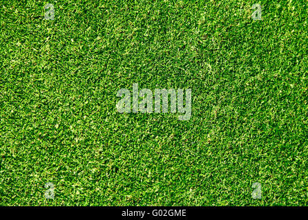 Very green and beautiful grass. Can be used as texture Stock Photo - Alamy