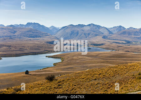 Mackenzie country. Newzealand Stock Photo - Alamy